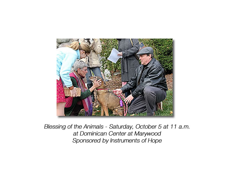 Instruments of Hope Blessing of the Animals | The Rapidian