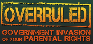 Understanding a judge's decision | The Rapidian