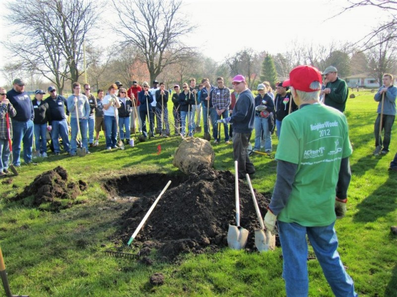 Celebrating Arbor Day, the Urban Forest Project plants 150 trees in ...