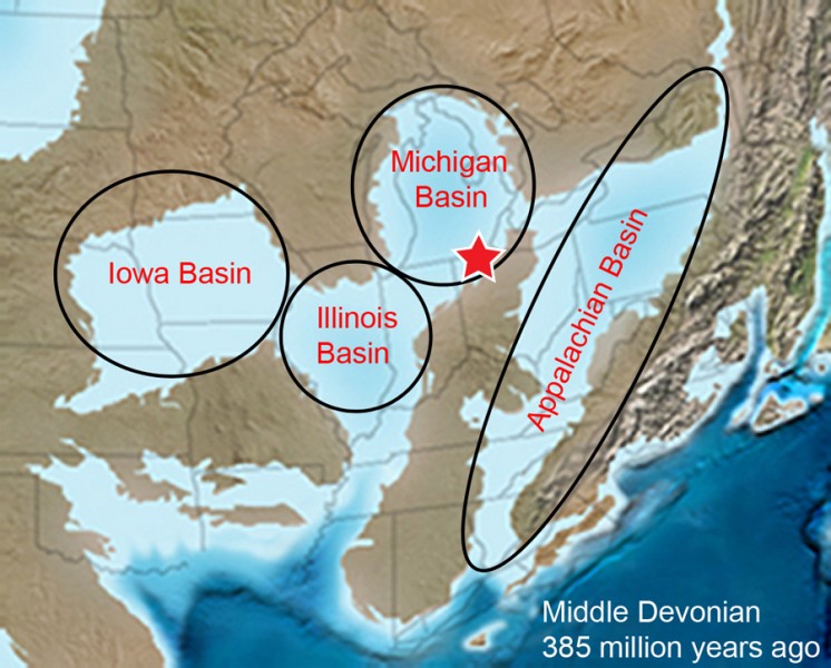 Prehistoric Michigan covered by ancient seas, tropical jungles before ...
